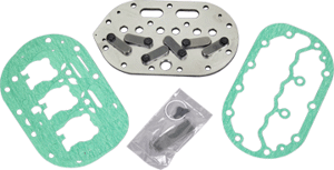GoHVACR.com | Valve Plate Kit, Reed for 9RB/9RJ Models includes Valve ...